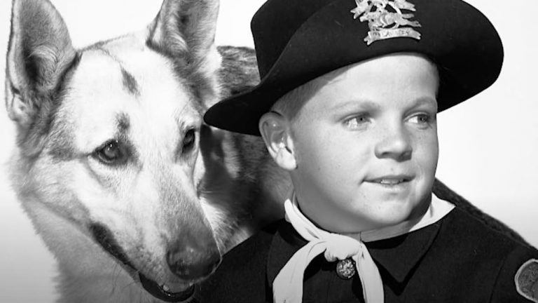 "Le avventure di Rin Tin Tin" un saluto a Rusty: è morto l'attore Lee Aaker